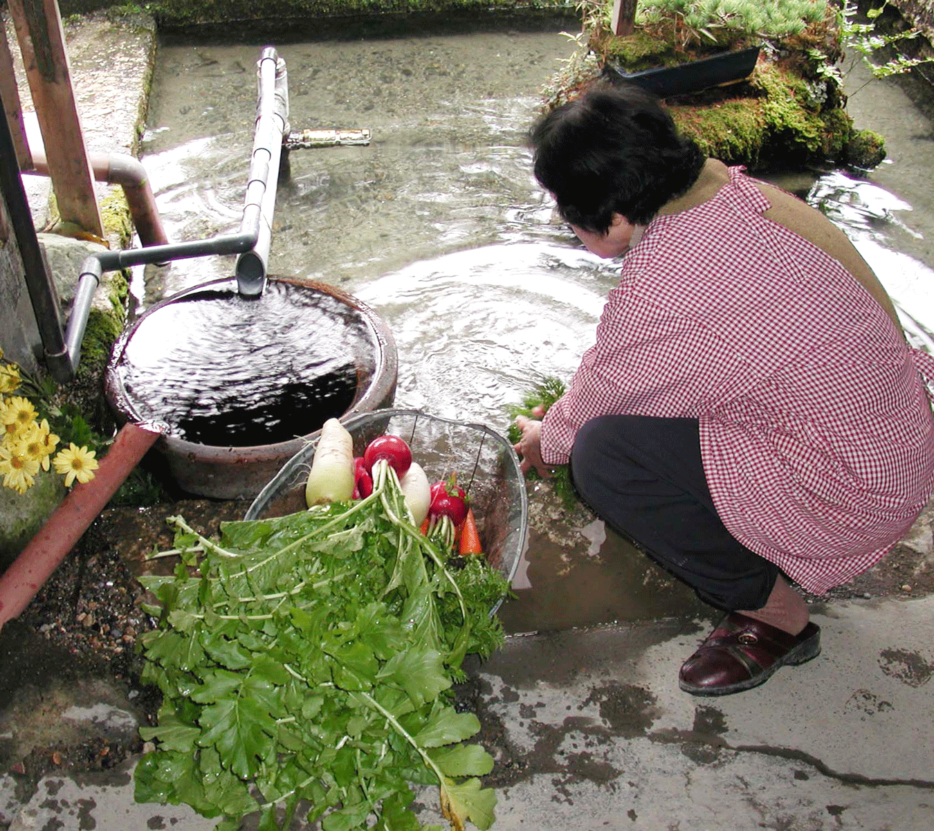 Harie Shozu no Sato Kabata (Artistic Manholes) | JAPAN SHIGA Tourism ...